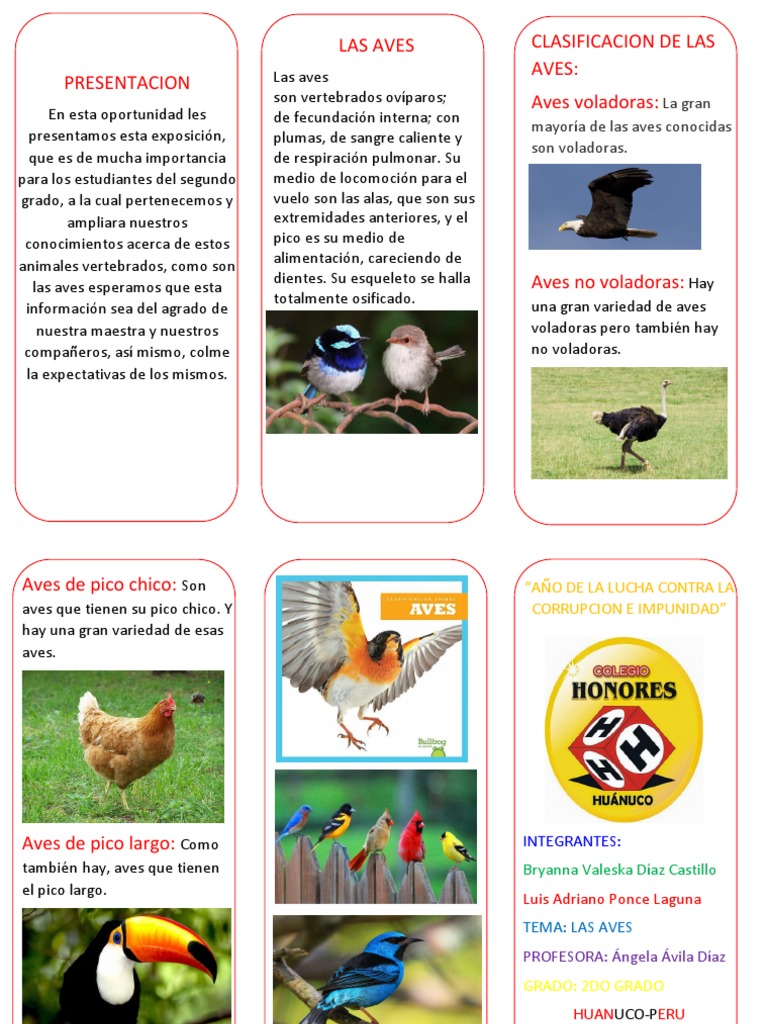 Triptico de Las Aves Primaria | PDF