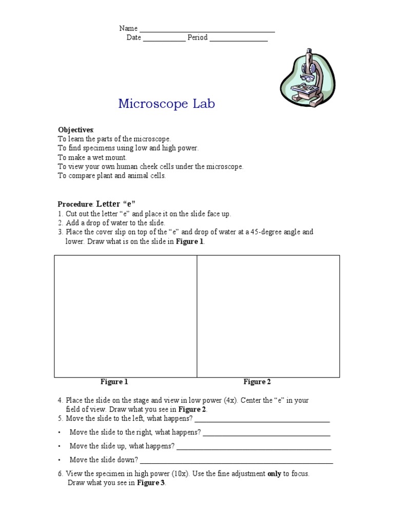 Microscope Lab: Letter "E" | PDF | Microscopy | Cell Biology