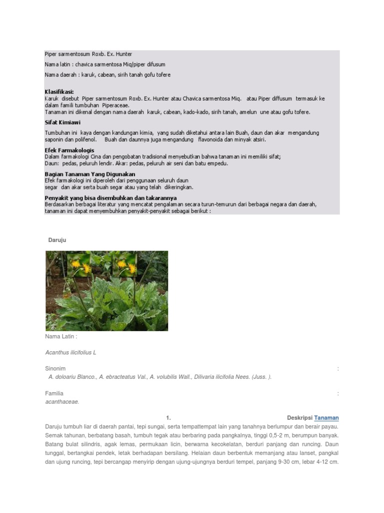 MANFAAT TANAMAN TAPAK DARA | PDF