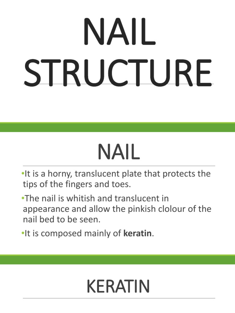 Nail Structure | PDF | Nail (Anatomy) | Integumentary System