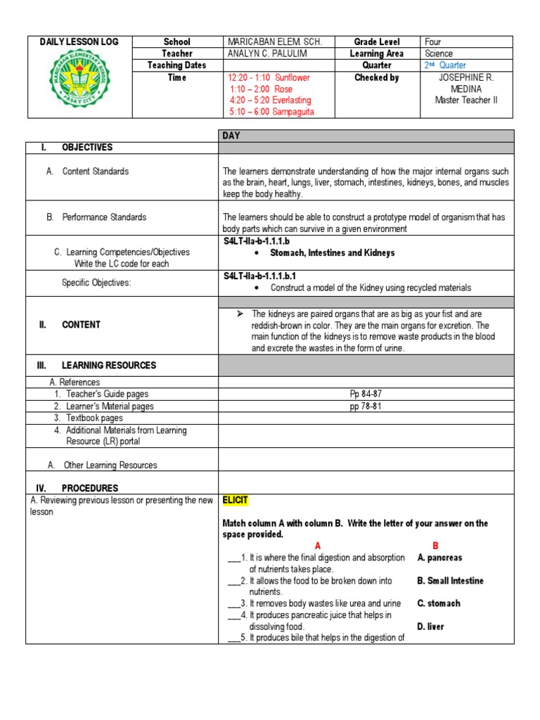 DAILY LESSON Plan 4 - 1.4 | PDF | Digestion | Kidney