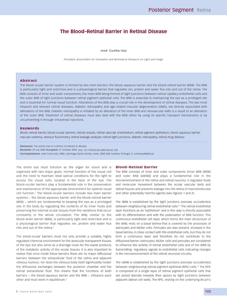 The Blood-Retinal Barrier in Retinal Disease PDF | PDF | Retina | Vision