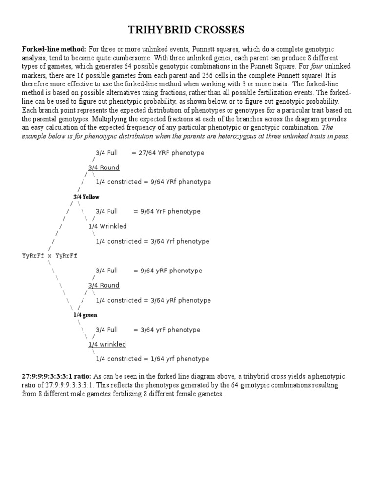 Trihybrid Cross Instructions | PDF | Biological Evolution ...