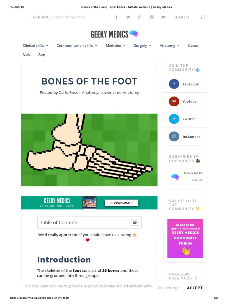 Bones of The Foot - Tarsal Bones - Metatarsal Bone - Geeky Medics | PDF ...