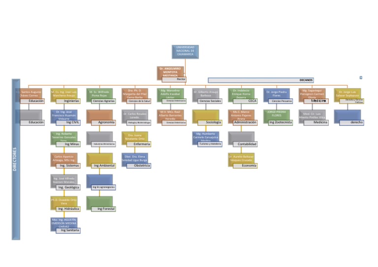 Organigrama UNC | PDF | Biología | Academia