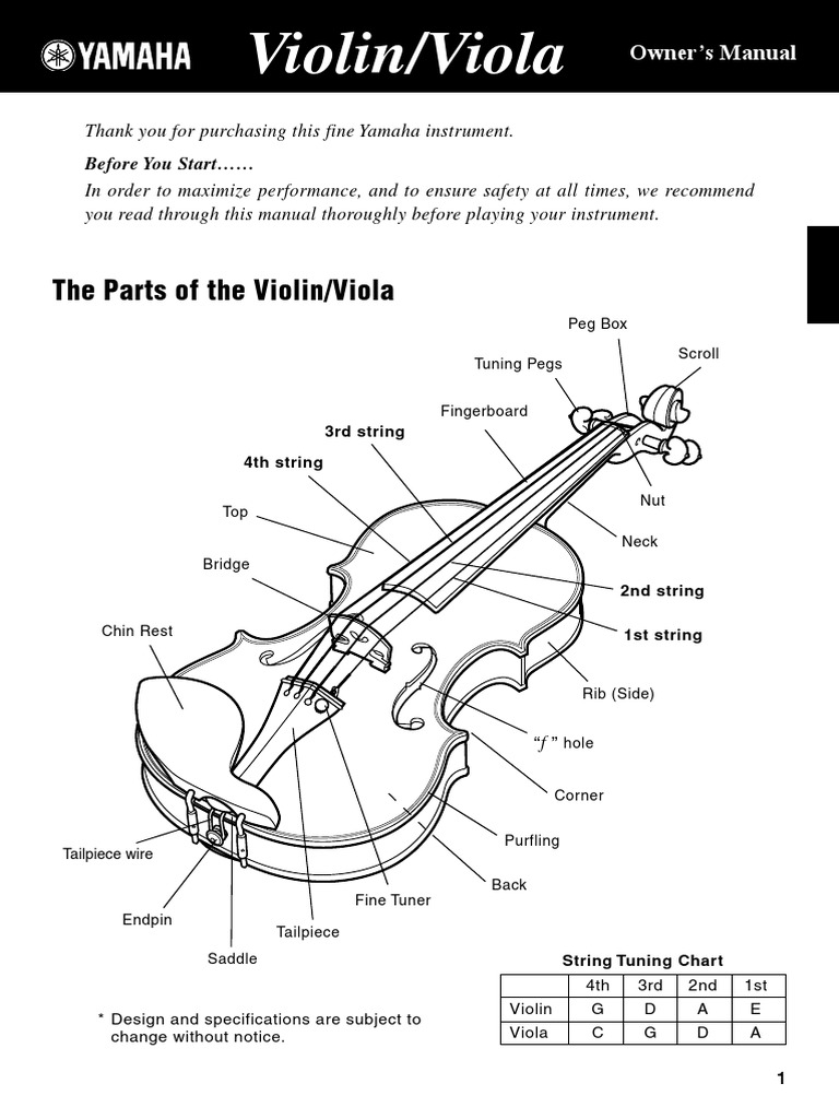 Parts of The Violin | PDF | Violin | String Instruments