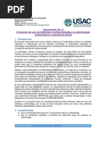 Oclusion Fosa Cuspide | PDF | Anatomia dental | Diente