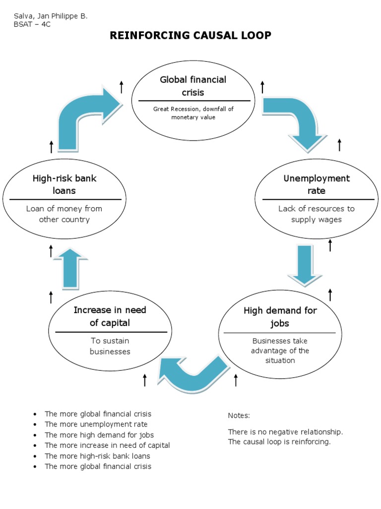 Reinforcing Causal Loop | PDF | Financial Crisis Of 2007–2008 ...
