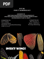 Insects Identification Key PDF | PDF | Fly | Insects
