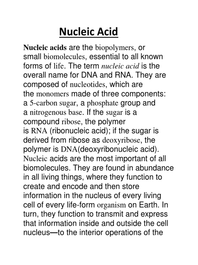 Nucleic Acid Project | PDF | Nucleic Acids | Dna
