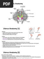 Anatomy of The Cervix, Squamocolumnar Junction, Metaplastic Change and ...