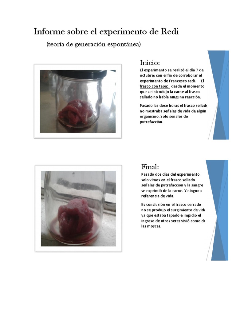 Informe Sobre El Experimento de Redi | PDF