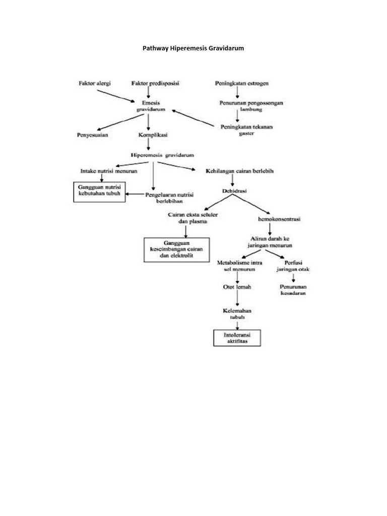 Pathway Hiperemesis Gravidarum | PDF