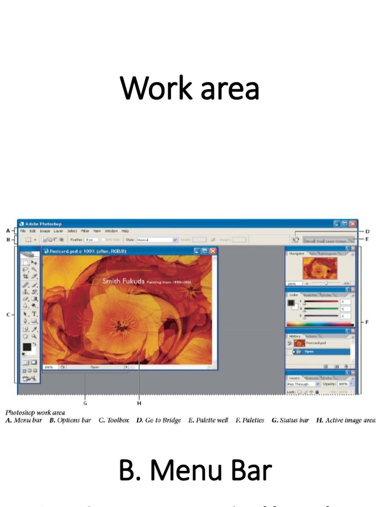 Understanding Photoshop Work Area Components | PDF | Computers