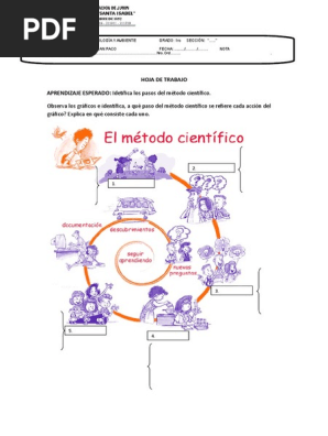 Hojas De Trabajo De Comprensión Lectora Del Método Científico