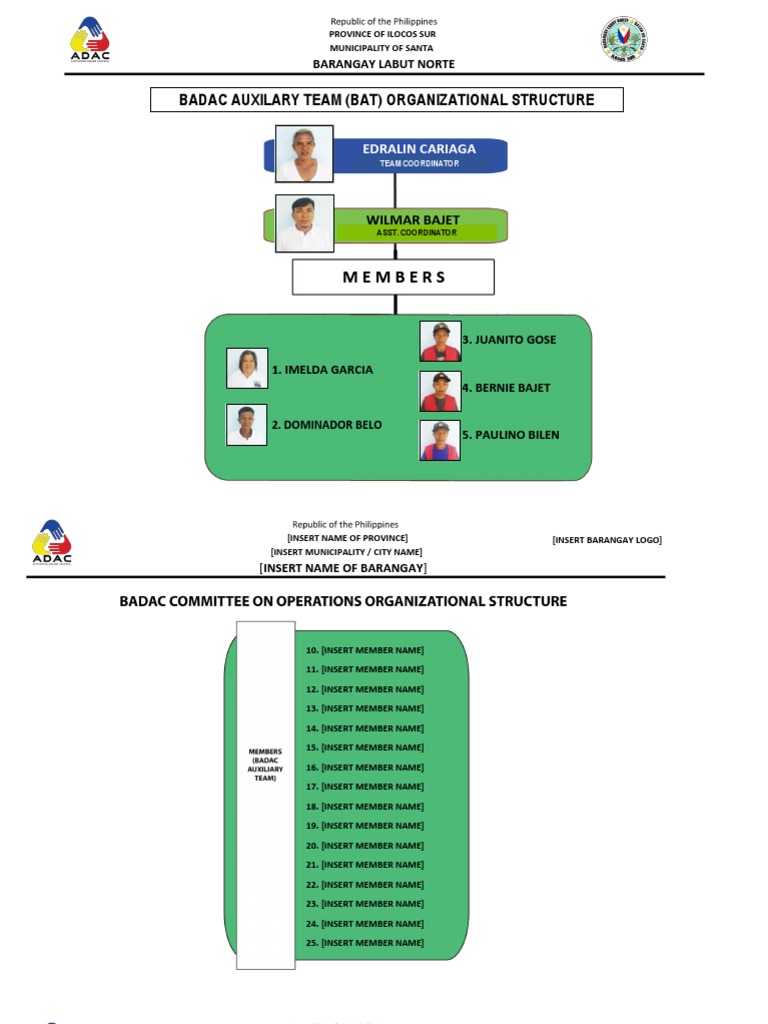 Badac Auxiliary Team Org. Structure | PDF