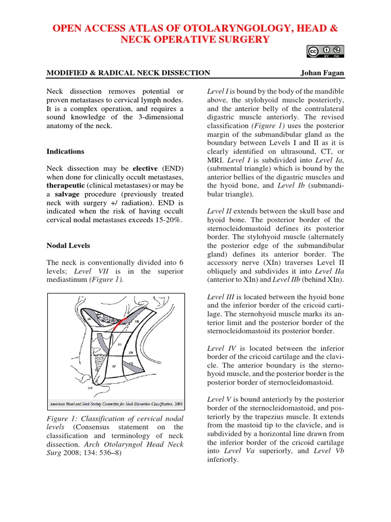 Modified & Radical Neck Dissection Guide | PDF | Common Carotid Artery ...