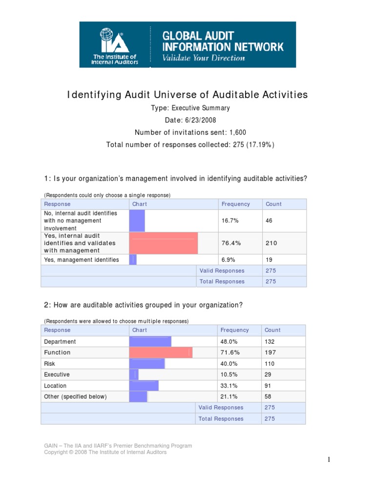 Identifying Audit Universe of Auditable Activities - Executive Summar ...