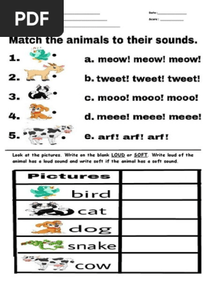 Loud Sounds Animals