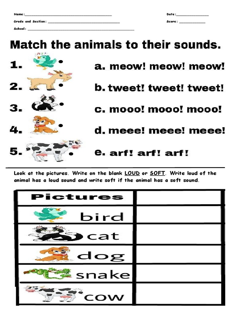 Loud And Soft Sounds Worksheet