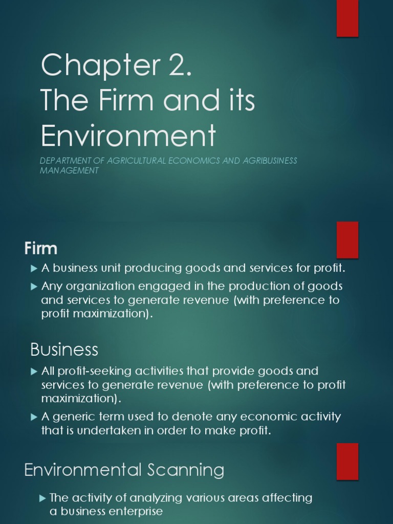 2_ the Firm and Its Environment | Business