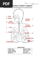 Draw Label Color Respiratory System | PDF