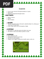 Constructing a Leaf Dichotomous Key | PDF | Leaf | Branches Of Botany