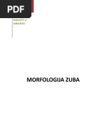 1 1 Anatomija Glave I Vrata | PDF