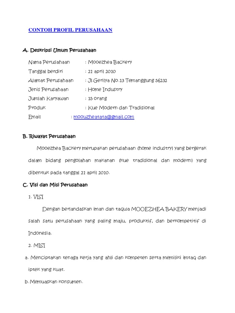 Contoh Profil Perusahaan | PDF