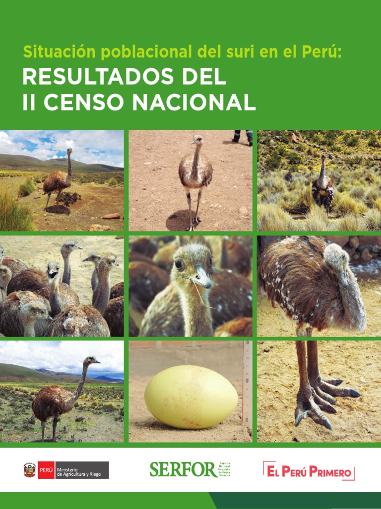 Situación Poblacional Del Suri en El Perú | PDF | Ecología | Habitat