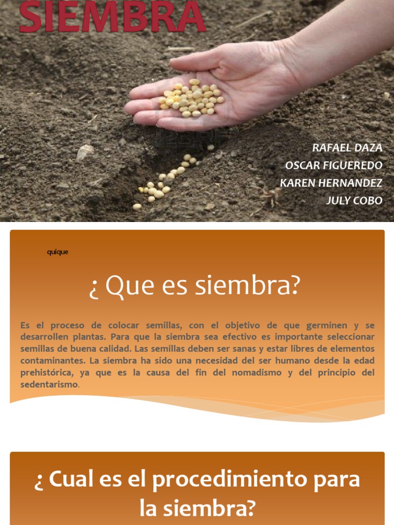 Siembra (1) Final | PDF | Siembra | Suelo