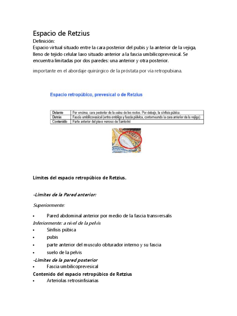 Espacio de Retzius | PDF