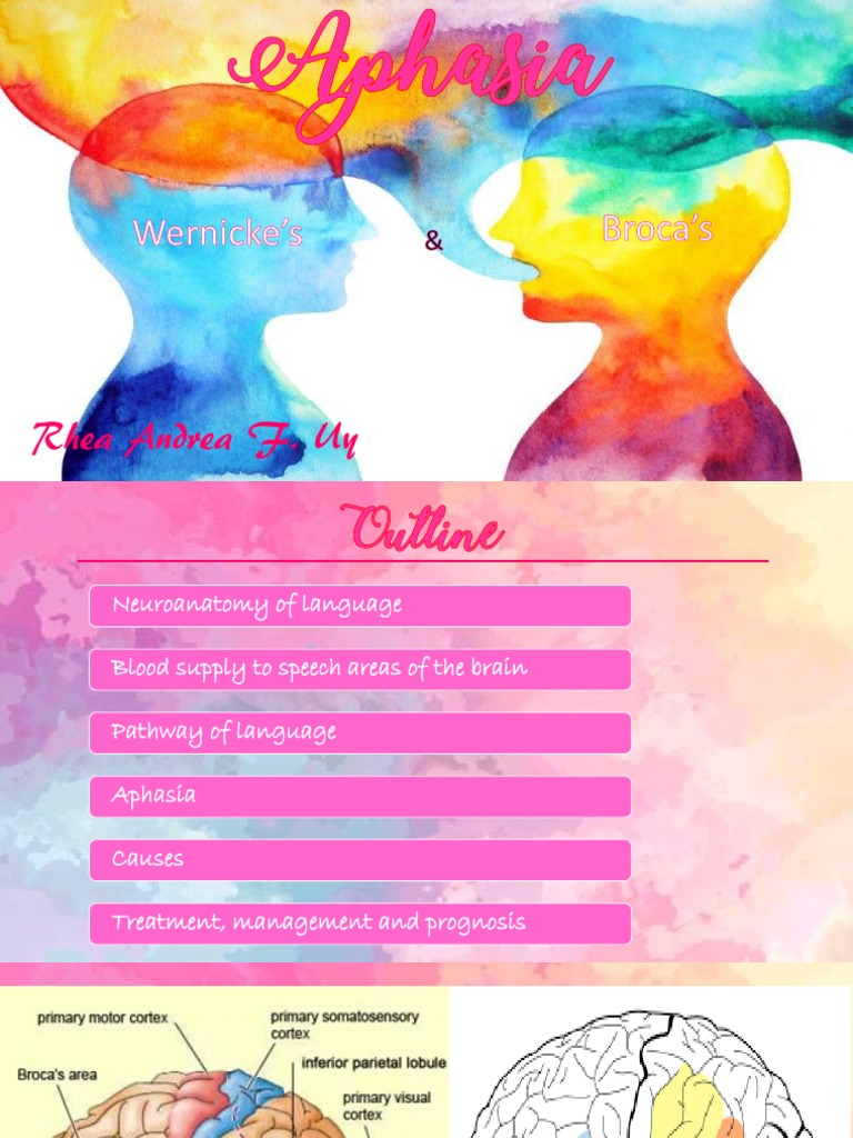 Neuroanatomy of Language: An Overview of the Brain Areas Involved in ...