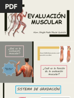 Ejercicios de Codman | PDF | Hombro | Sistema musculoesquelético