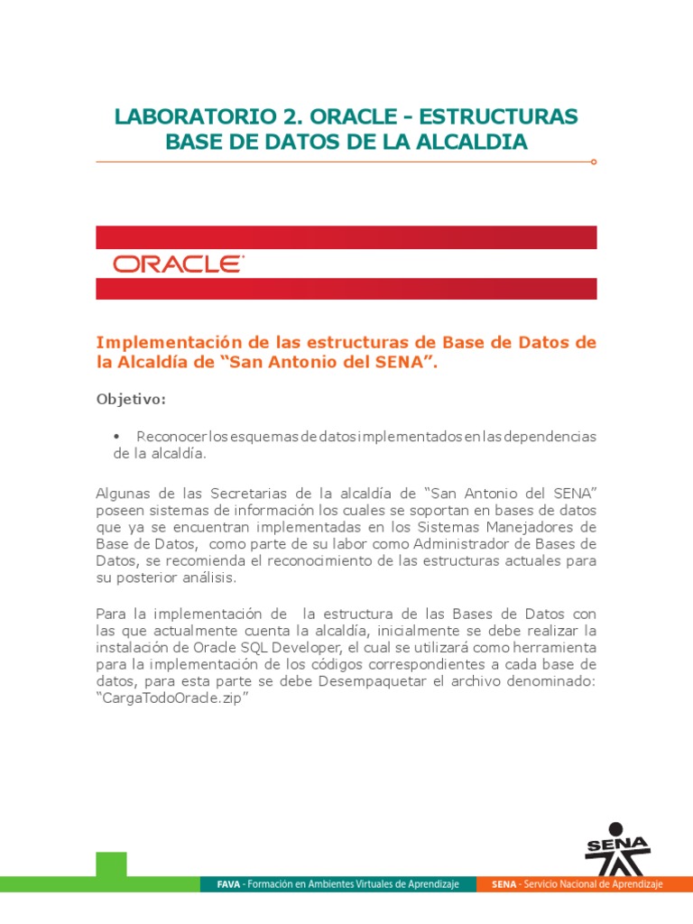 Oracle Estructura | PDF | Oracle Corporation | Point and Click