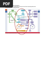 Bicol Region Plant Species List | PDF | Luzon | Philippines