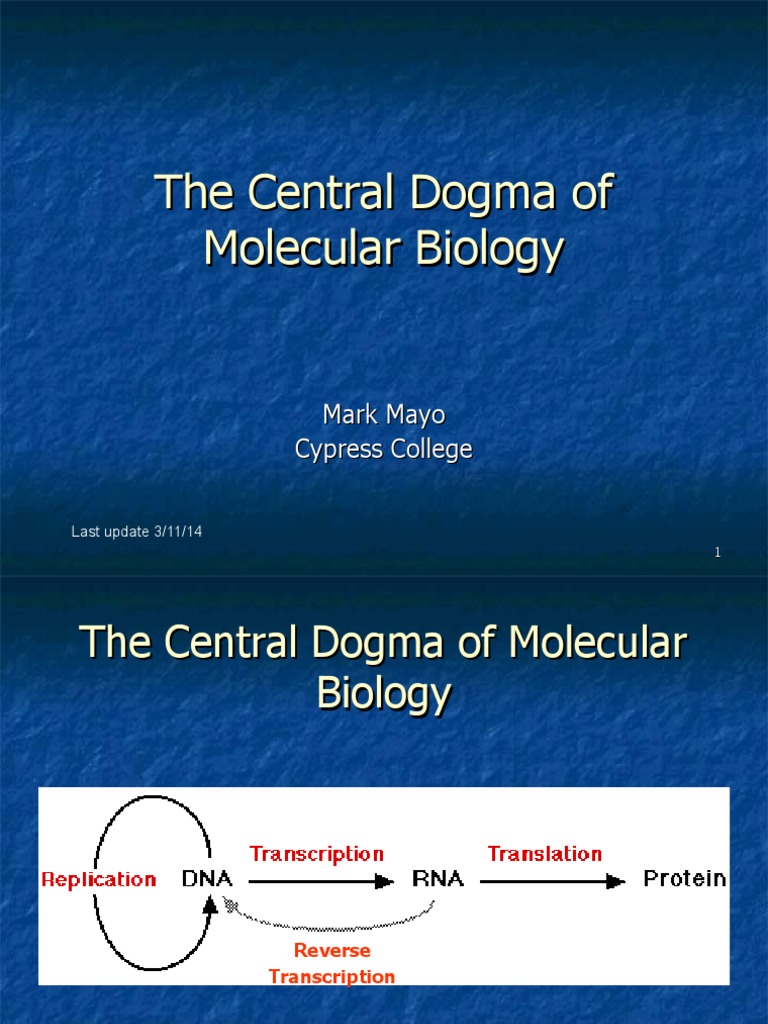 Central Dogma of Molecular Biology | PDF | Translation (Biology ...