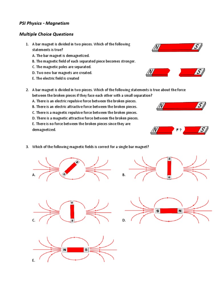 Class 10 Magnetism MCQs with Answers | PDF | Magnetic Field | Force