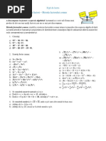 Factor Comun - Exercitii Rezolvate | PDF