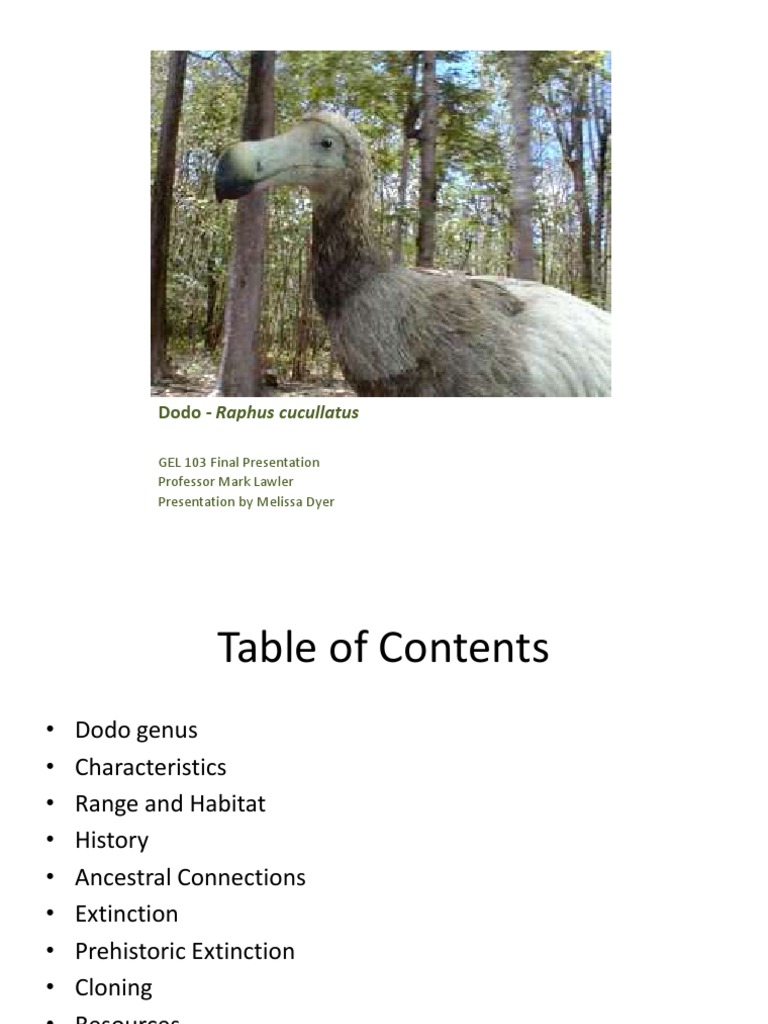 Resurrecting Extinction: An Analysis of the Extinct Dodo Bird | PDF ...
