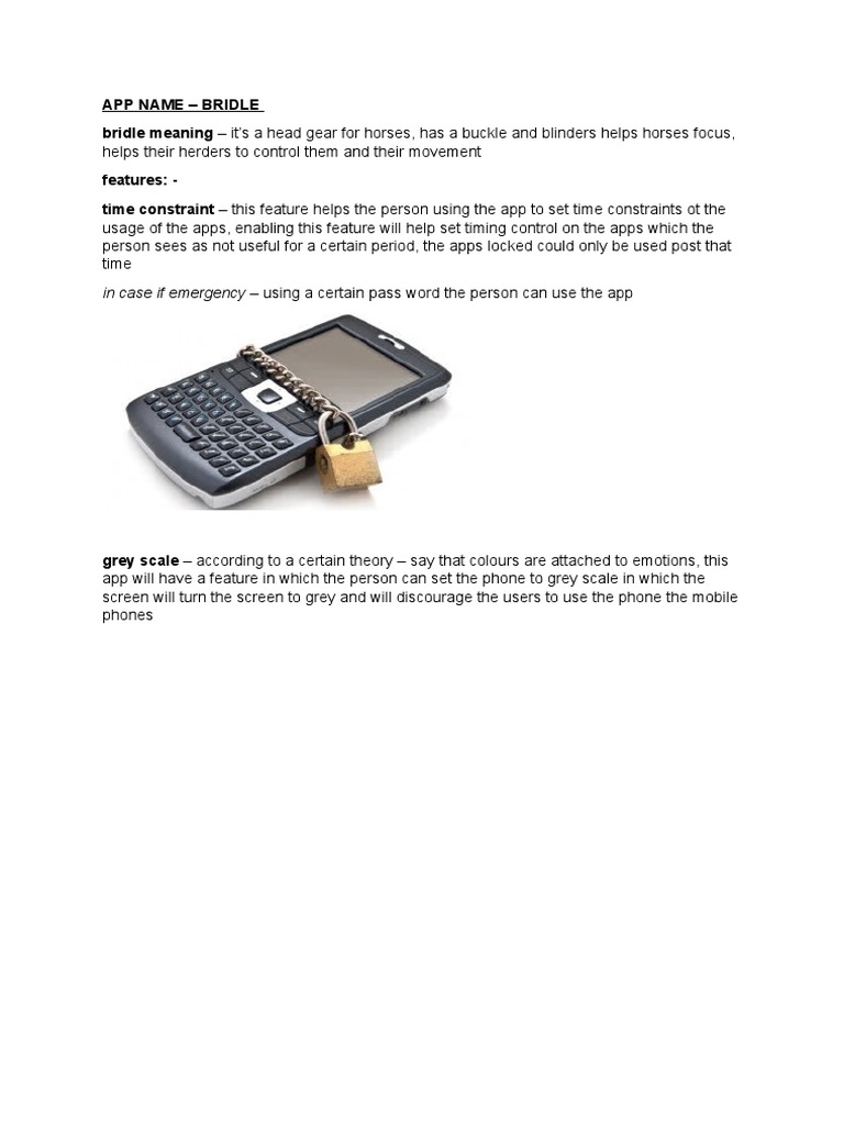 Bridle PSM App Presentation | PDF