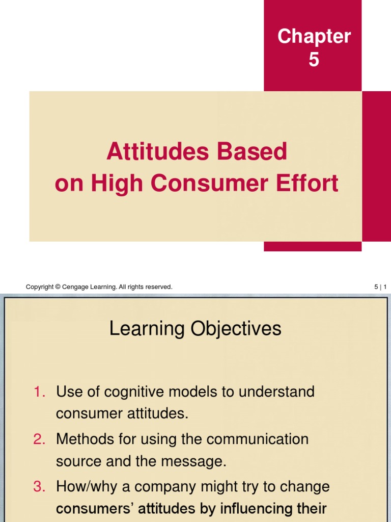 Basic Hoyer PPT Ch05-5e | PDF | Attitude (Psychology) | Affect (Psychology)