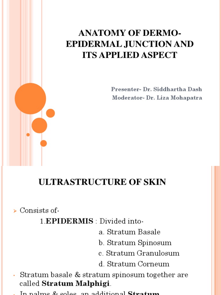 Anatomy of Dermo-Epidermal Junction and Its Applied Aspect | PDF ...