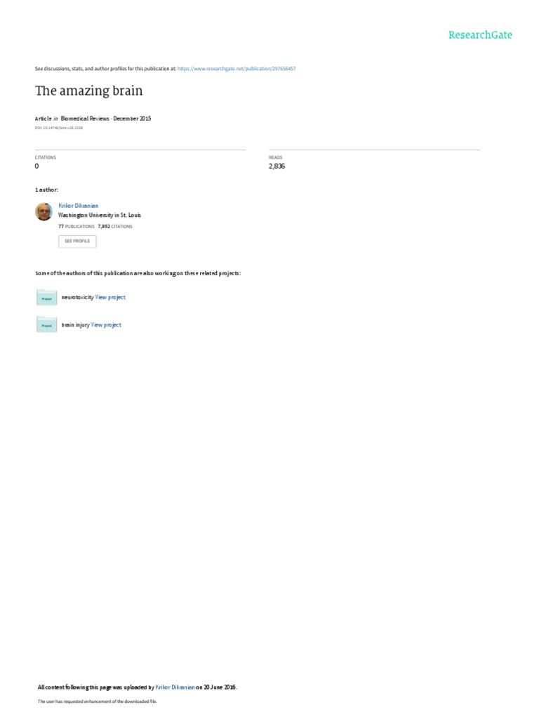 The Amazing Brain | PDF | Magnetic Resonance Imaging | Positron ...