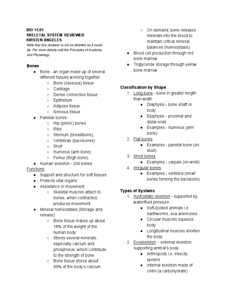 Skeletal System Overview and Functions | PDF | Skeleton | Bone