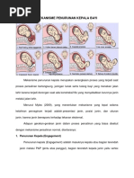 Bidang Hodge Bidang Penurunan Kepala Janin | PDF
