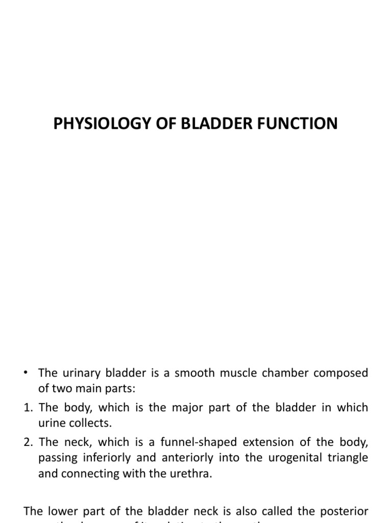 Physiology of Bladder Function | PDF | Urinary Bladder | Urination