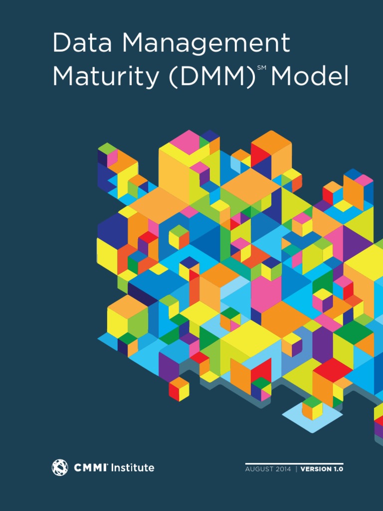 dmmm | Business Process | Strategic Management