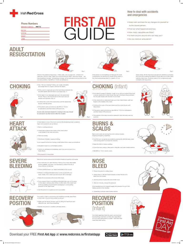 Irc First Aid A2 Poster 09.2013 PDF | PDF | Clinical Medicine | Medical ...
