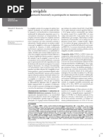 Núcleos del Rafe: Anatomía y Funciones | PDF | Serotonina | Hipotálamo